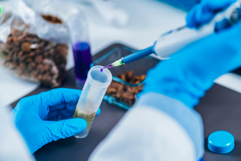 Tips For Managing Your Pet’s Medications - VetMedics Compounding Pharmacy